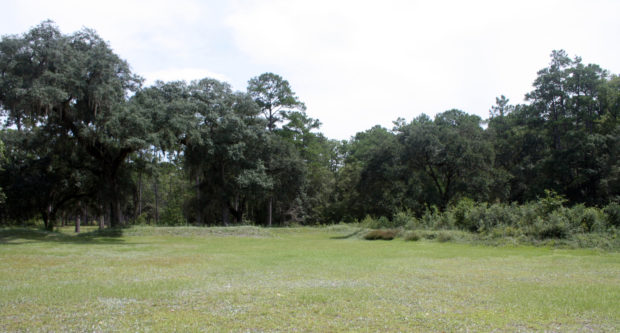 Tragedy & Survival | Digital Heritage Interactive LLC